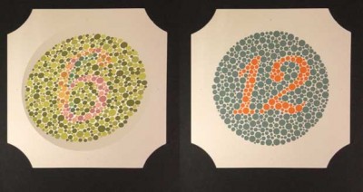 Colour Vision Assessment – HKU E-learning Platform in Clinical ...